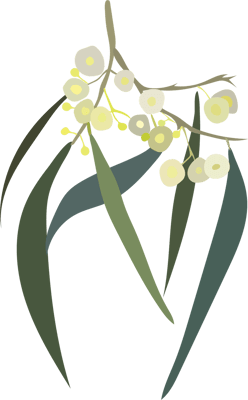 Home [banyulenillumbiktechschool.vic.edu.au]